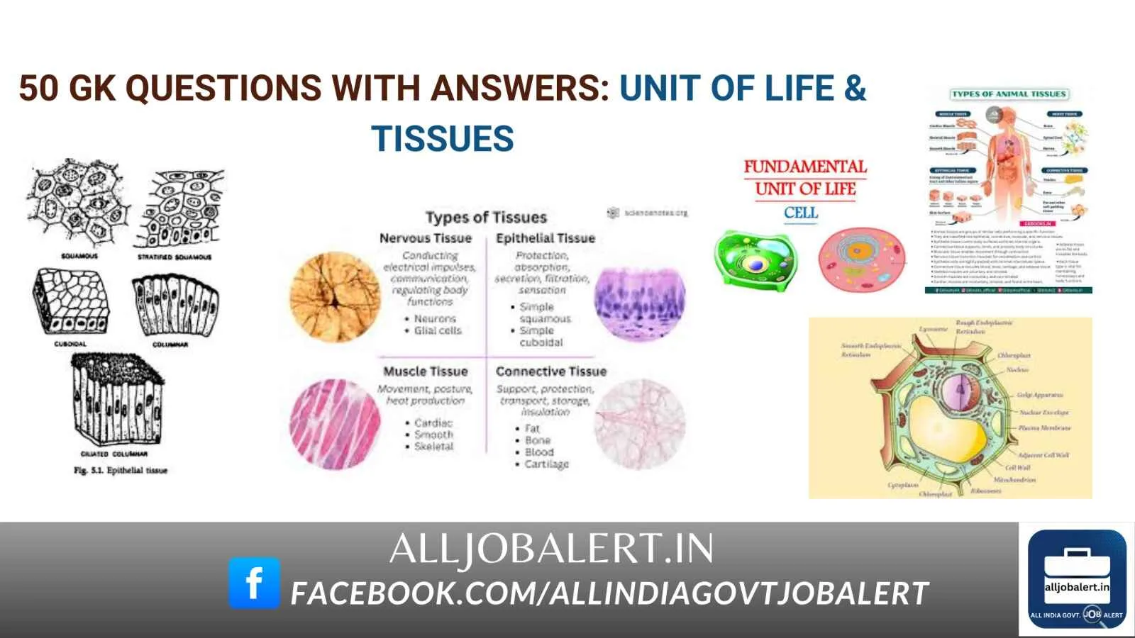 50 Powerful Biology GK Questions – The Fundamental Unit of Life & Tissues